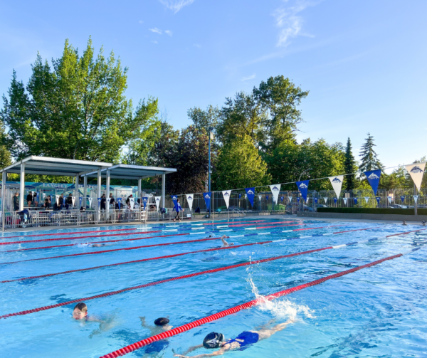 Langley Flippers Swim Club – Langley, BC Based Swim Club dedicated to ...